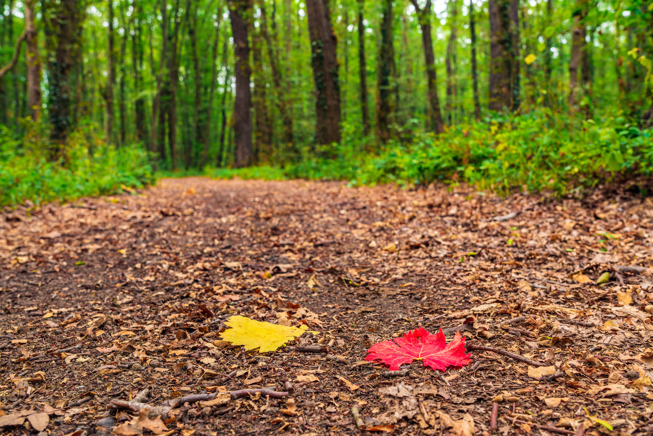 Recycling Tip Tuesdays: Paving the Way for a Greener Future with Kimble ...