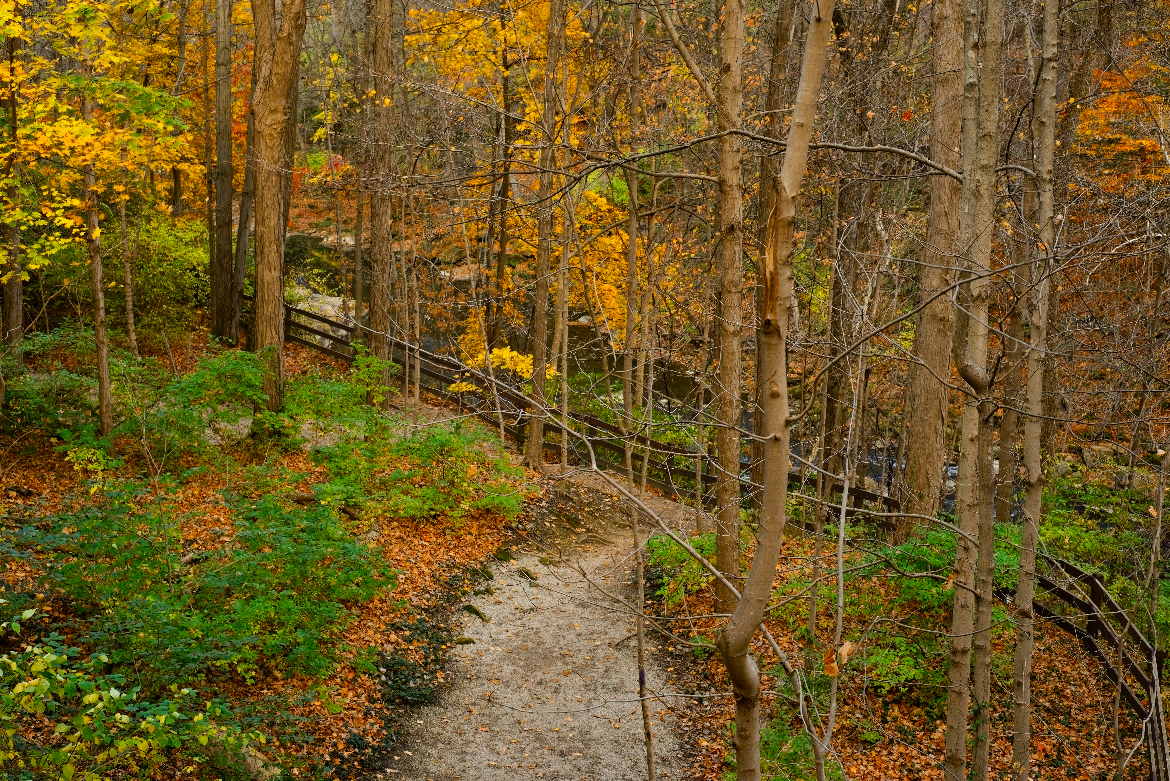 Recycling Tip Tuesdays: Small Changes for a Sustainable Future